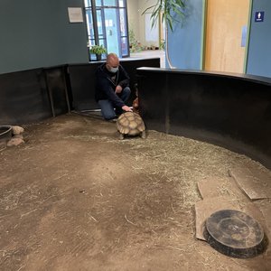 THE ZOO IN FOREST PARK & EDUCATION CENTER - Updated April 2025 - 52 ...