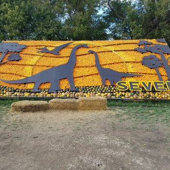 SEVER’S CORN MAZE & FALL FESTIVAL - Updated October 2024 - 55 Photos ...