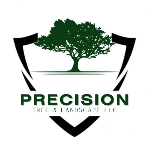PRECISION TREE AND LANDSCAPE - Updated September 2025 - Brandon ...