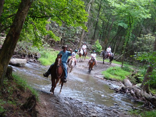 SUGARLANDS STABLES - Updated December 2025 - 19 Photos - 1409 Pkwy ...