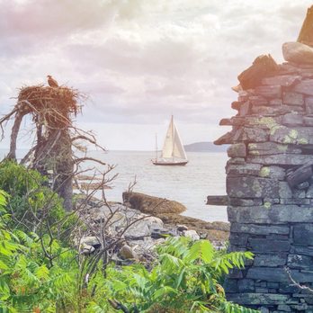 Cabbage Island Clambakes - 122 Photos & 87 Reviews - Seafood - 60 ...