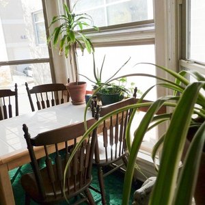 ESSEN HAUS - Updated December 2025 - 151 Photos & 258 Reviews - 514 E ...