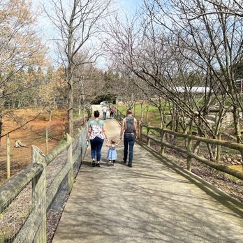 BRIGHT’S ZOO - Updated July 2024 - 65 Photos & 29 Reviews - 3425 Hwy 11 ...