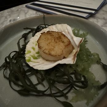 TERRACE 16 - Updated January 2025 - 1156 Photos & 549 Reviews - 401 N ...