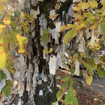 THE WISHING TREE - Updated December 2025 - 54 Photos & 12 Reviews ...