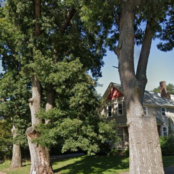 STANLEY TREE SERVICE - Updated October 2025 - 16 Photos & 59 Reviews ...