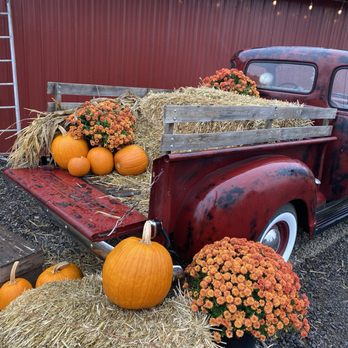 YESTERYEAR FARMS - TEMP. CLOSED - Updated July 2025 - 181 Photos & 99 ...