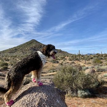 BROWN’S RANCH TRAILHEAD - Updated November 2025 - 347 Photos & 46 ...