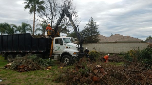 RANCHO TREE SERVICE - Updated January 2026 - 41 Photos & 44 Reviews ...