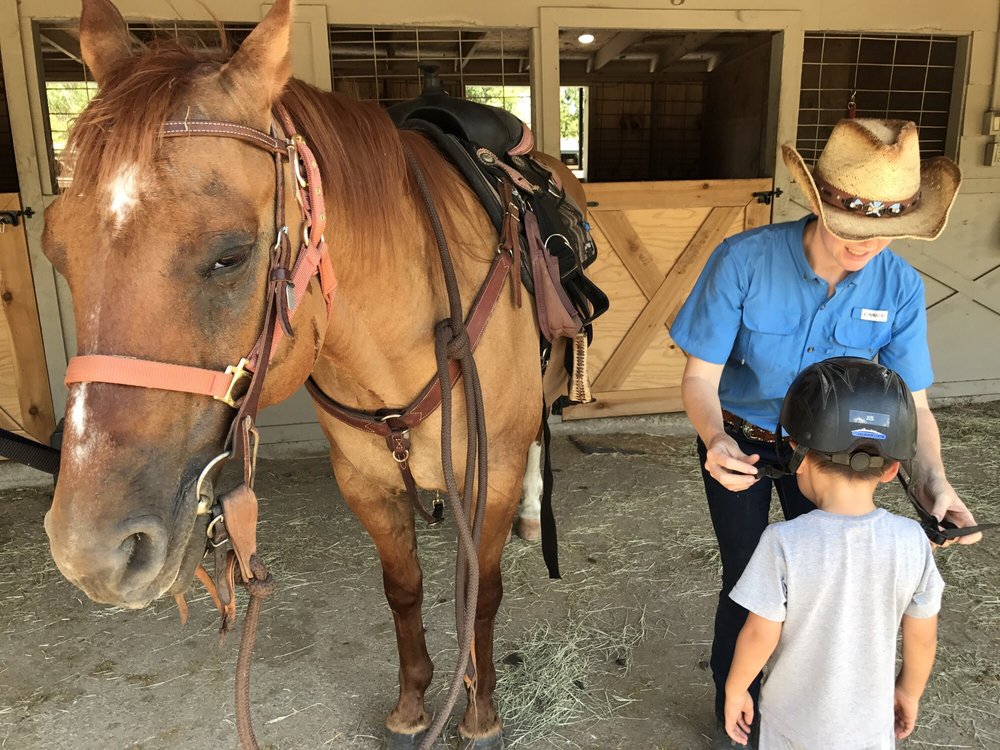 TEXAS TRAIL RIDES - Updated October 2025 - 100 Photos & 119 Reviews ...