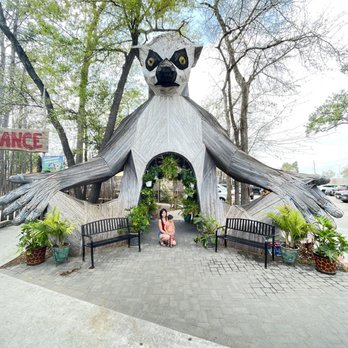 HOUSTON INTERACTIVE AQUARIUM AND ANIMAL ADVENTURE - Updated January ...