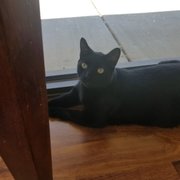 COPPER CAT BOOKS - 101 Photos & 48 Reviews - Used Bookstore - 1570 W ...