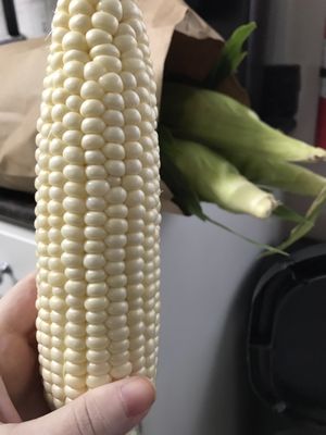 STELLA FARMS - Updated August 2024 - 20 Photos & 30 Reviews - 459 New ...