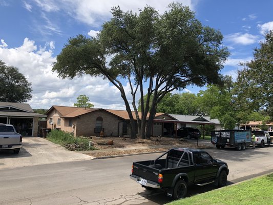 3 MONKEYS TREE SERVICE - Updated November 2025 - 37 Photos & 17 Reviews - San Antonio, Texas ...