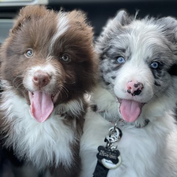 TEAM REEVES RANCH - Updated October 2025 - 84 Photos & 23 Reviews ...