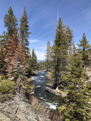 FRAZIER FALLS TRAIL - 60 Photos & 21 Reviews - Hiking - Gold Lake Hwy ...