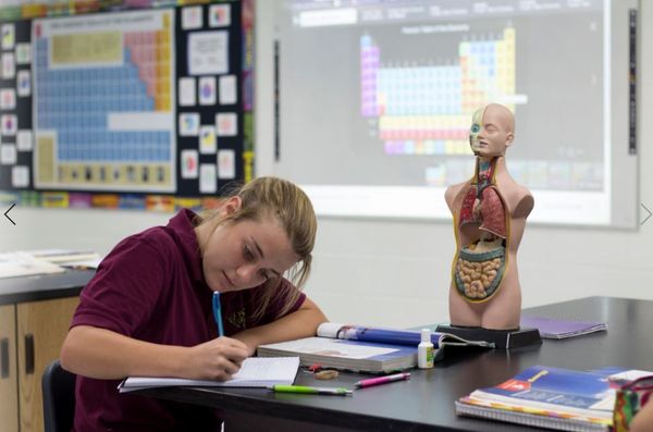 THE PHOENIX RANCH SCHOOL AND CAMP - Updated August 2025 - 29 Photos ...