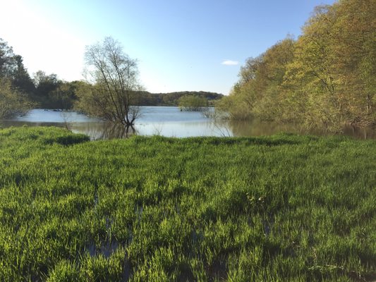 CODORUS STATE PARK - 44 Photos & 30 Reviews - 2600 Smith Station Rd ...