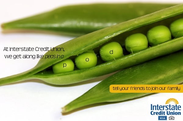 INTERSTATE CREDIT UNION - Updated December 2025 - 705 W Cherry St ...