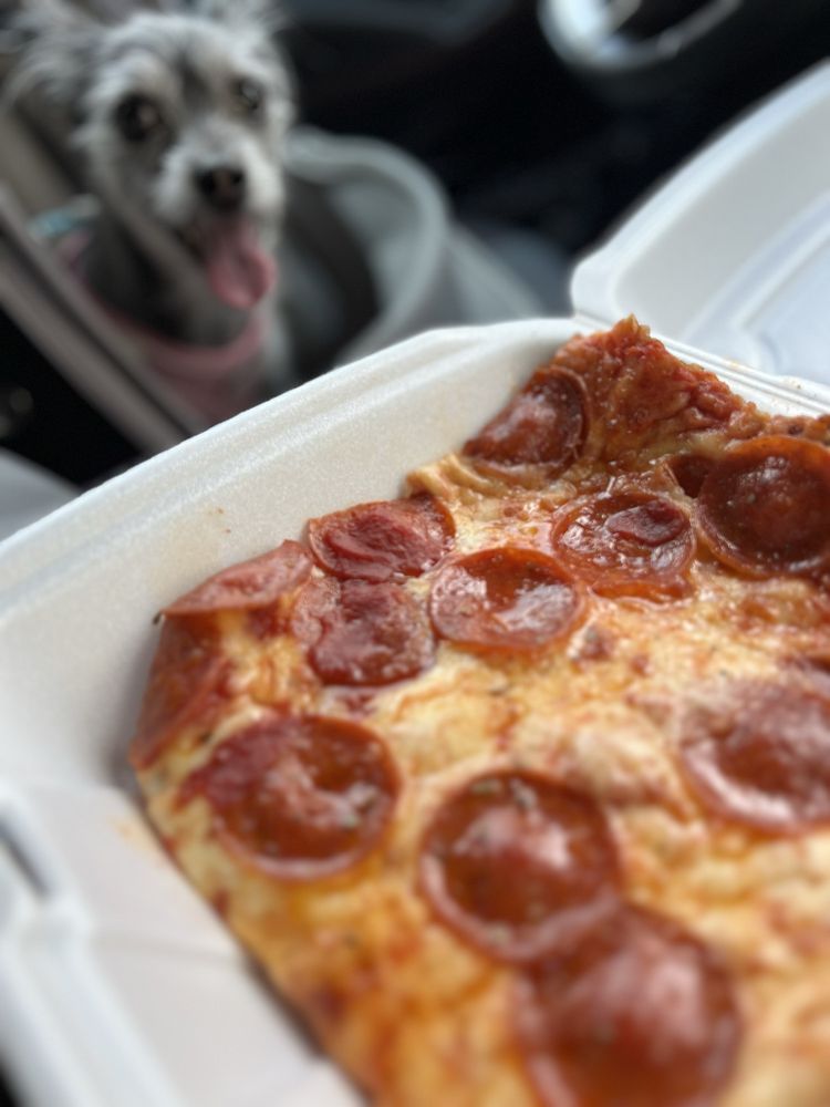 D’AGOSTINO’S PIZZA & PUB - Updated September 2024 - 170 Photos & 584 ...