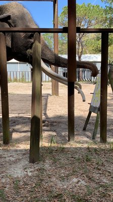 TWO TAILS RANCH - Updated March 2025 - 118 Photos & 84 Reviews - 18655 ...