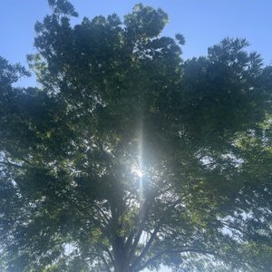 HESPERIA LAKE PARK & CAMPGROUND - Updated July 2025 - 137 Photos & 69 ...