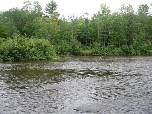 WOLF RIVER RAFT RENTAL & CAMPGROUND - Updated May 2024 - W510 County Rd ...
