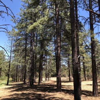 BLUE RIDGE CAVE TRAIL - Updated August 2025 - 39 Photos - 3103 Porter ...