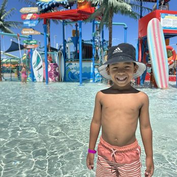 THE DUBLIN WAVE - Updated August 2025 - 221 Photos & 262 Reviews - 4201 ...