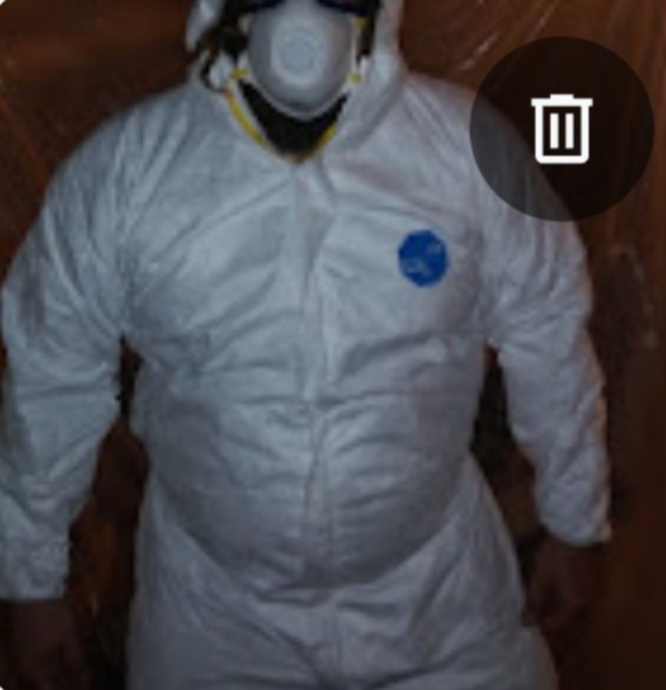 MOLD ADVISOR & TESTING - Request Consultation - Philadelphia ...