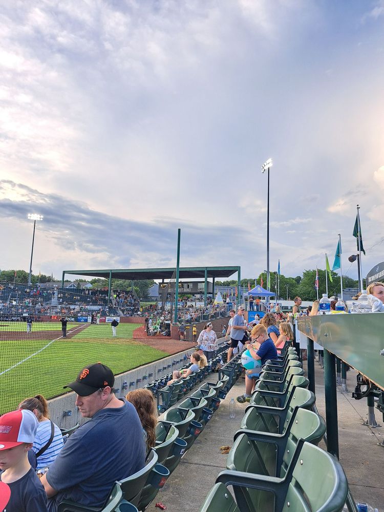 MADISON MALLARDS - Updated December 2025 - 37 Photos & 47 Reviews ...