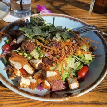 BOSSCAT KITCHEN & LIBATIONS - Updated January 2025 - 385 Photos & 196 ...