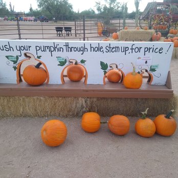 MACDONALD’S RANCH - Updated October 2024 - 478 Photos & 269 Reviews ...