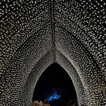 LIGHTSCAPE SAN DIEGO - Updated November 2024 - 189 Photos & 38 Reviews ...