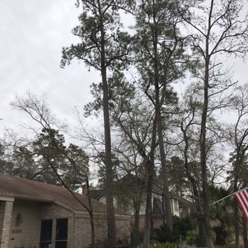 HOUSTON TREE TEAM - Updated December 2025 - 73 Photos & 55 Reviews ...