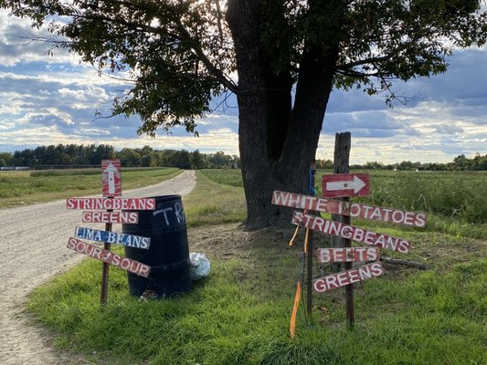 HALLOCK’S U-PICK FARM & GREENHOUSE - 42 Photos & 16 Reviews - 38 ...