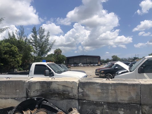 PICK YOUR PART - WEST PALM BEACH - Updated May 2026 - 33 Photos & 12 ...