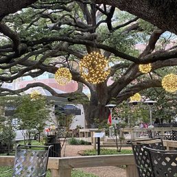 BECKS PRIME - Updated October 2025 - 169 Photos & 178 Reviews - 2615 ...