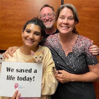 HELEN SANDERS CATPAWS - Updated December 2025 - 44 Photos & 56 Reviews ...