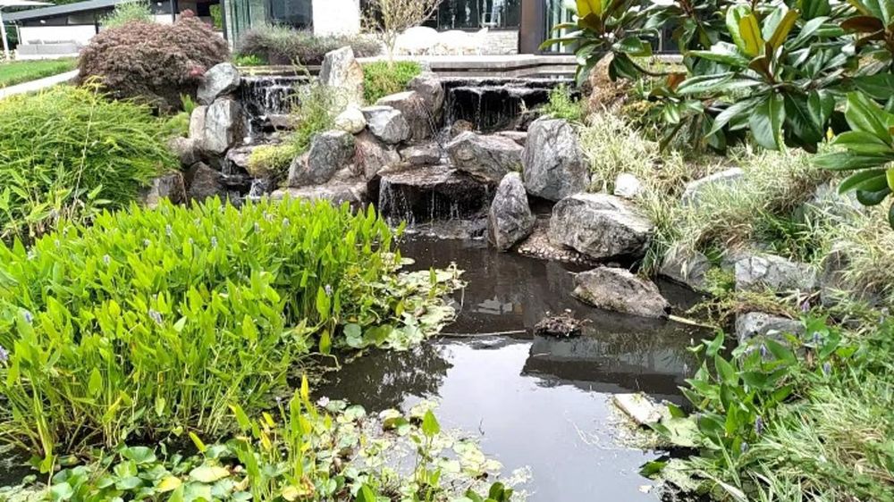 CYPRUS PONDS AND WATER FEATURES - Updated December 2025 - 13 Photos ...