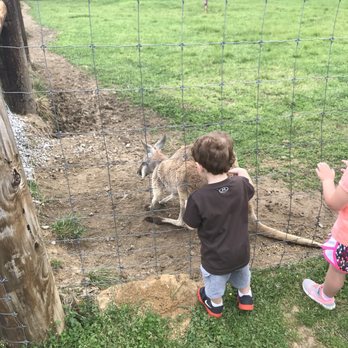 GONE WILD SAFARI - Updated December 2025 - 41 Photos & 16 Reviews - 805 ...