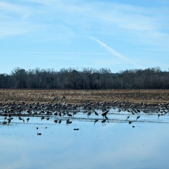 WHEELER NATIONAL WILDLIFE REFUGE - Updated October 2025 - 135 Photos ...