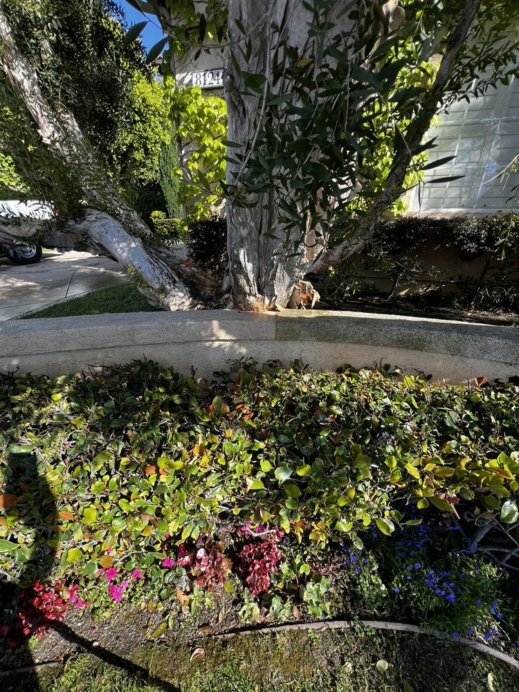 AMERICAN HOME SOLUTIONS - Updated August 2024 - 21 Photos - Villa Park ...