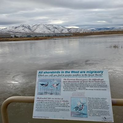 SWAN LAKE NAUTURE STUDY AREA - Updated August 2025 - 56 Photos - Lear ...