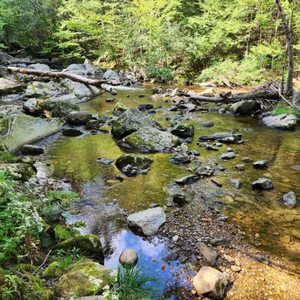 LAKE GARFIELD BEACH - Updated March 2025 - 78 Tyringham Rd, Monterey ...