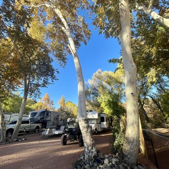 ZANE GREY RV VILLAGE - Updated March 2025 - 120 Photos & 78 Reviews ...