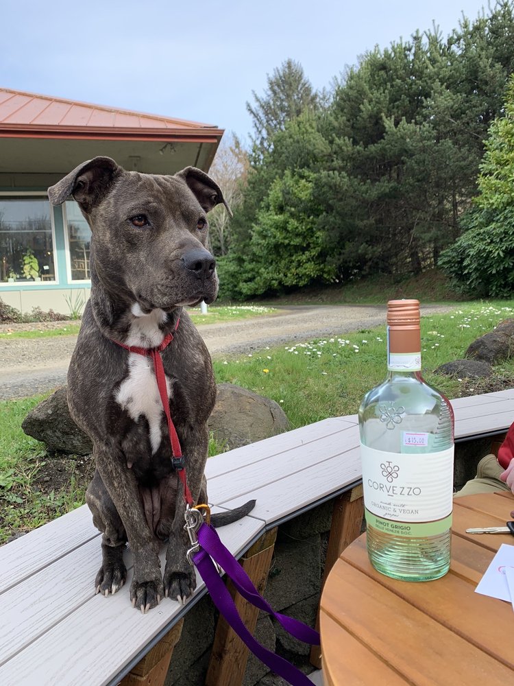 BEACH DAISY WINE - 11 Reviews - 2118 Hwy 101 N, Yachats, OR - Yelp