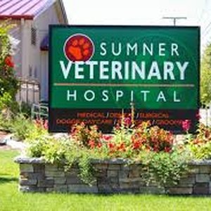 SUMMIT VETERINARY REFERRAL CENTER - Updated February 2026 - 60 Photos ...