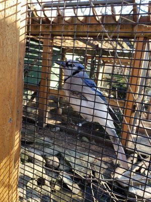 COSLEY ZOO - 243 Photos & 128 Reviews - 1356 N Gary Ave, Wheaton ...