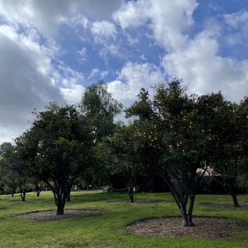 LOS ENCINOS STATE HISTORIC PARK - Updated December 2025 - 201 Photos ...